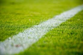 Turf Play 365 -Football turf ground-Perundurai Road -Erode-online book