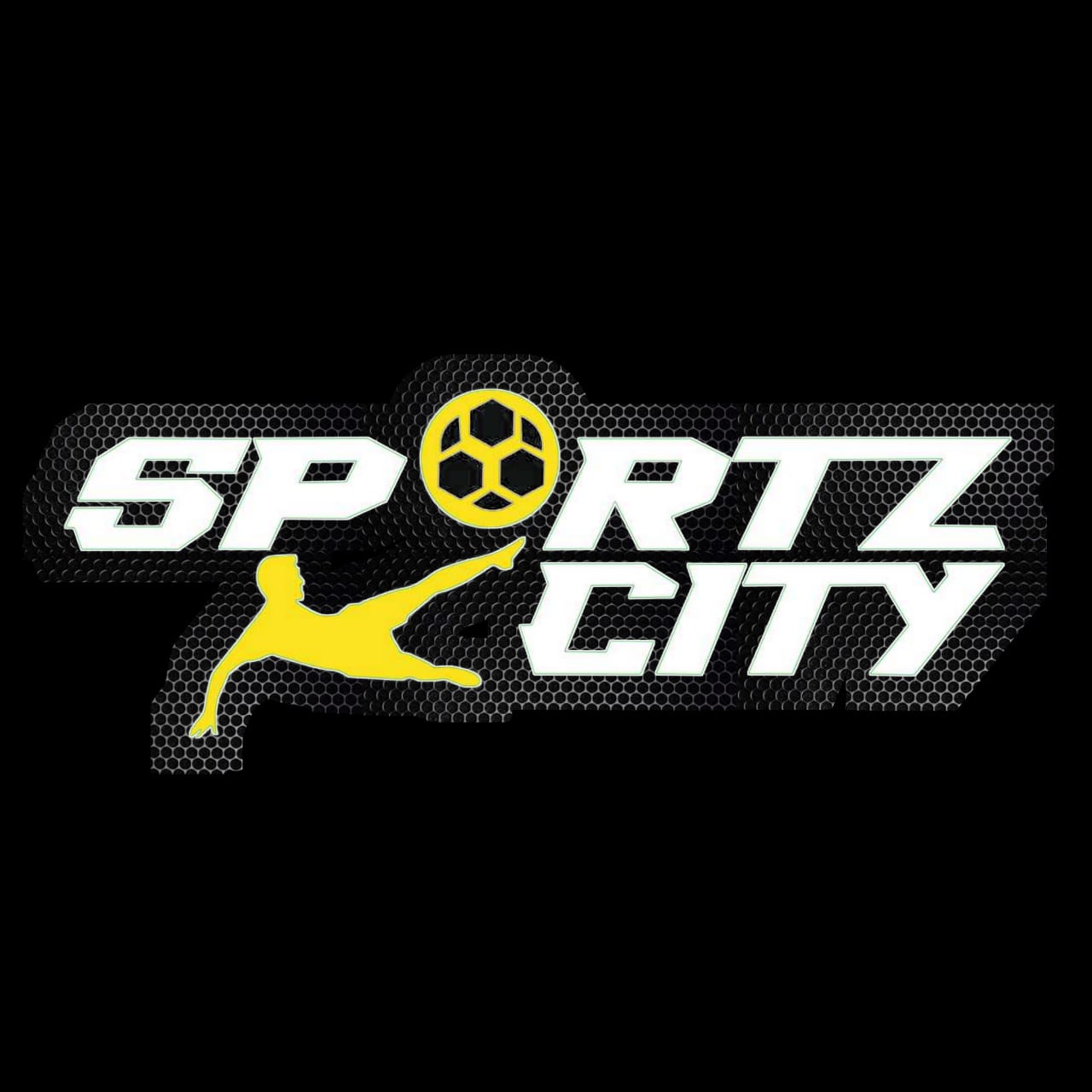 Sportz city - Kadiyangad Palam Football Turf - Perambra - PLAYSPOTS