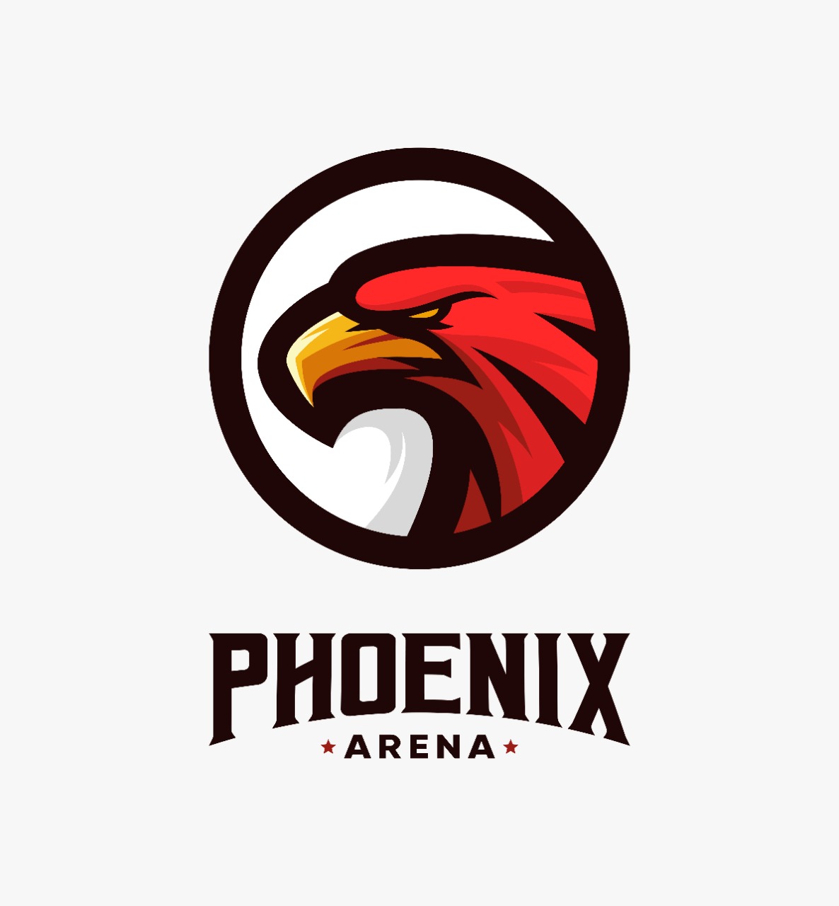 Phoenix Arena Football Turf Parakkulam-Cricket ground Thrithala Palakkad